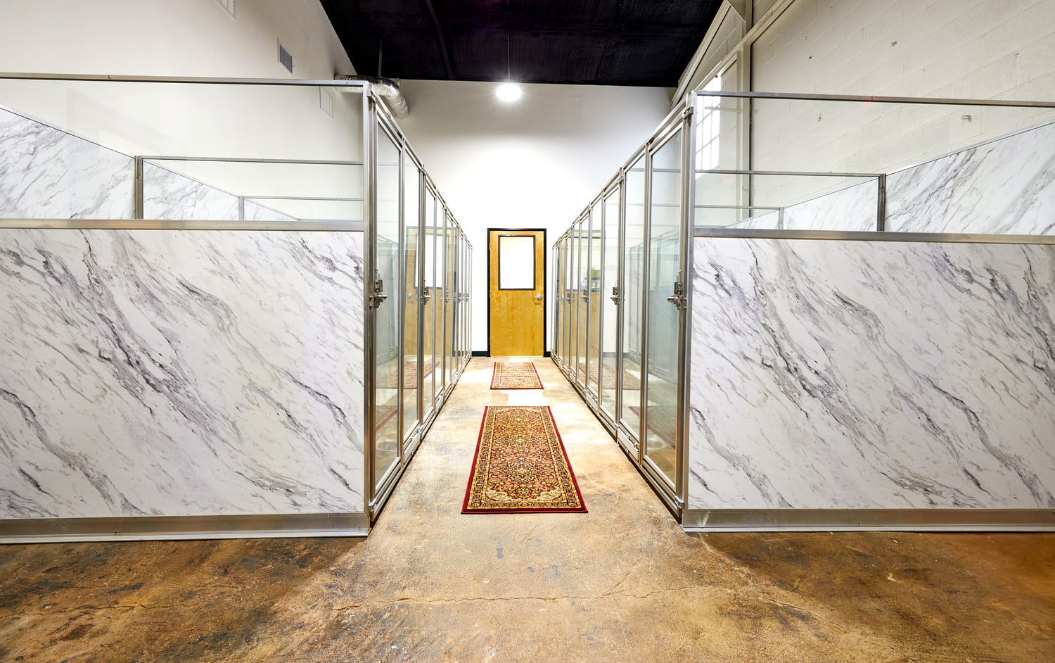The Dallas Dog Palace | Where Your Dog is Royalty!